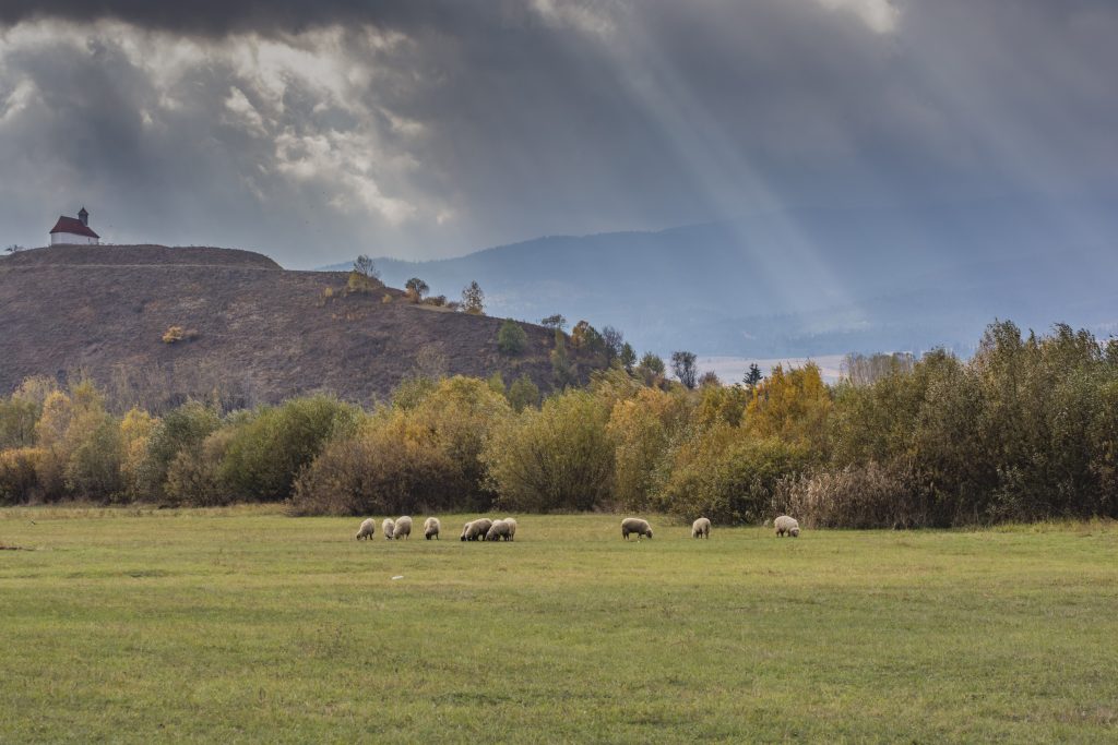 Photo Gallery - Chapels in the basin - Transylvania Now