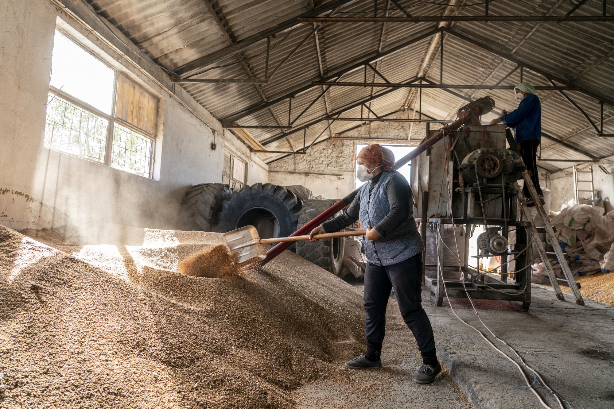Romania emerges as second-biggest wheat exporter in the EU