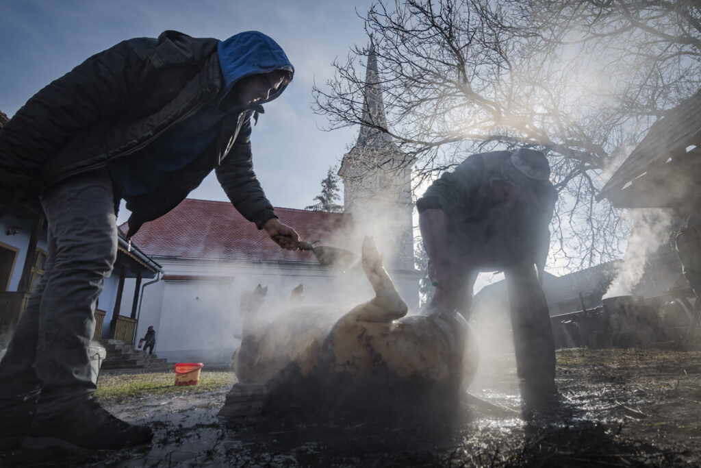 This is how Szeklers prepare for Christmas and wintertime [PICS ...