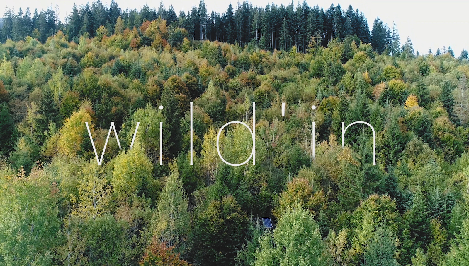 Wild'in: the tiny house that connects you with nature - Transylvania Now