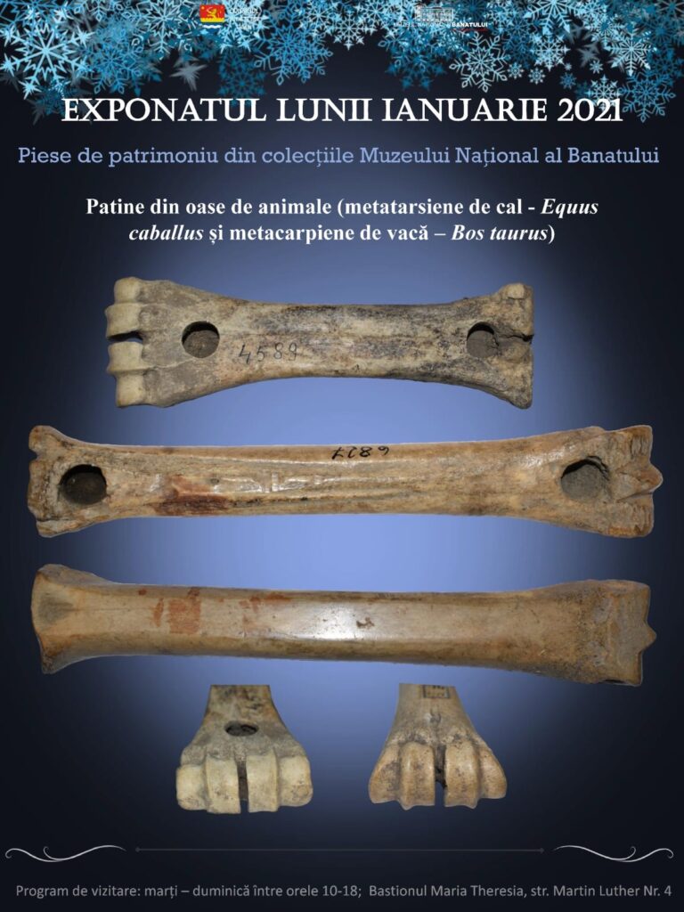 Banat Museum of Temesvár: A glance at the origins of skating