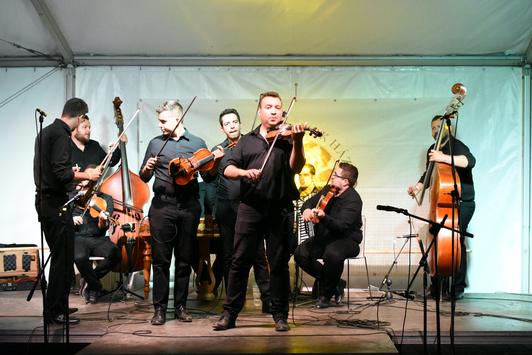 Folk music from the best young musicians in Transylvania - Transylvania Now